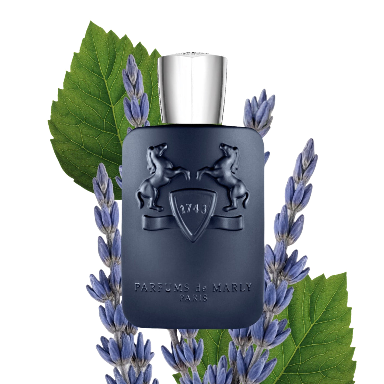 Perfume Layton Eau de Parfum 125 ml - Cazanova – Cazanovaonline